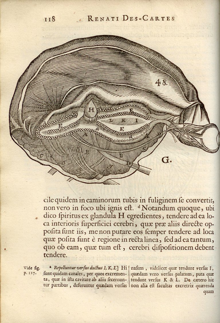 Descartes’ ‘Treatise of Man’ – Becker Medical Library