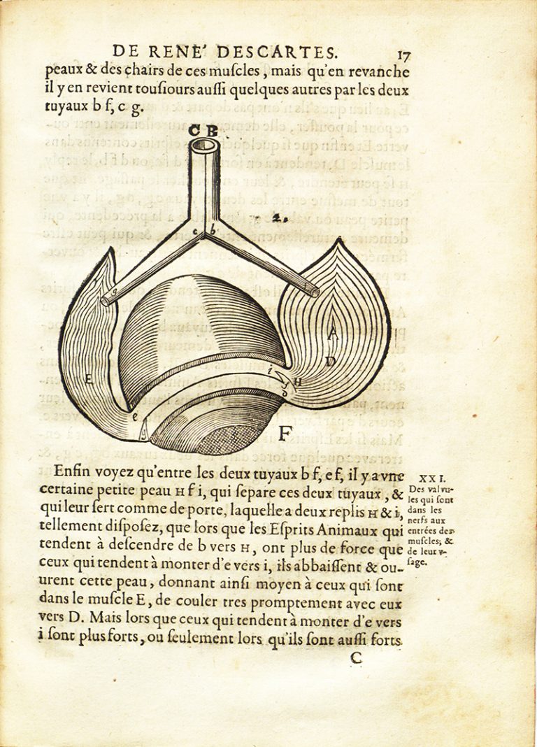 Descartes’ ‘Treatise of Man’ – Becker Medical Library