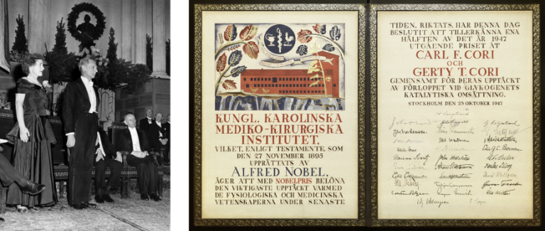 Cori Nobel Prize Exhibit – Becker Medical Library